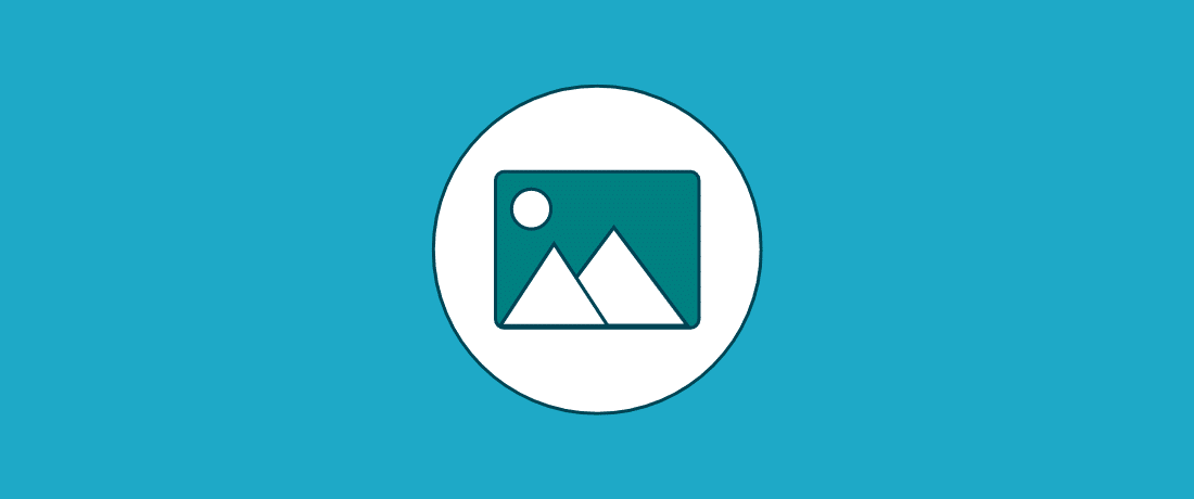 The Best Image Formats for Your WordPress Website - Imagify